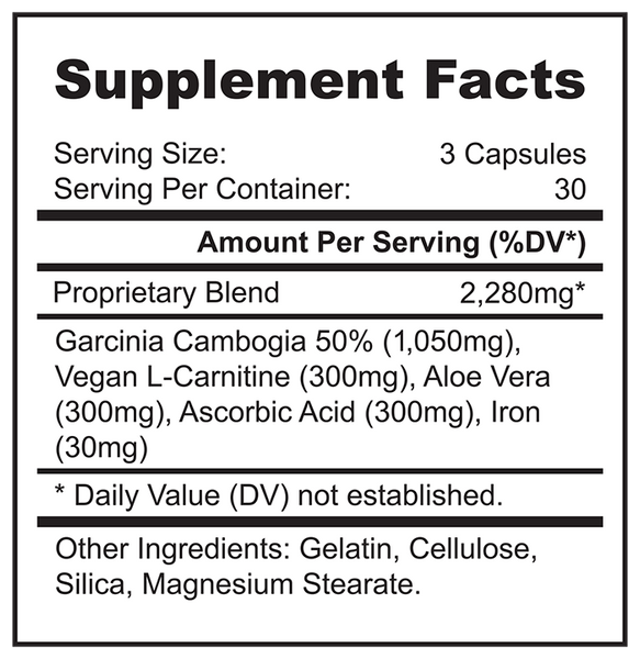 Primo SLIM - Primo Performance